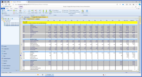 Budgeting Best Practices | MSX Group
